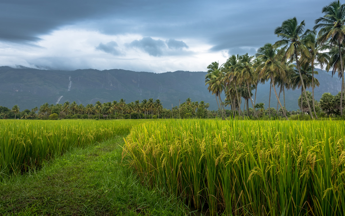 River Cruise Destination Guide